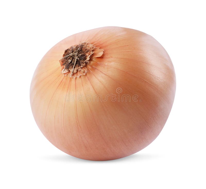 One Yellow Fresh Onion Isolated on White Stock Photo - Image of ...