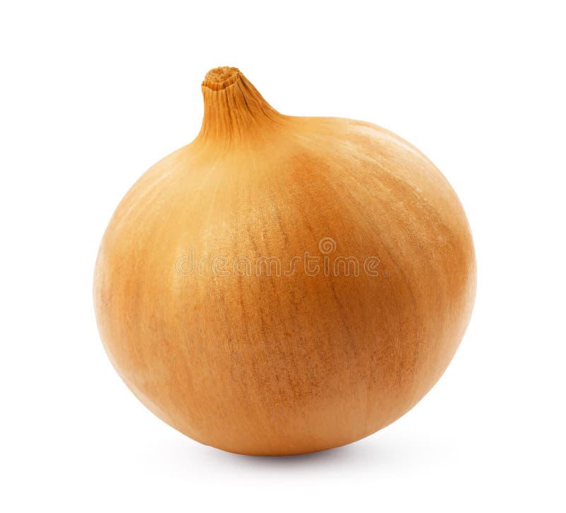 One Yellow Fresh Onion Isolated on White Stock Image - Image of brown ...