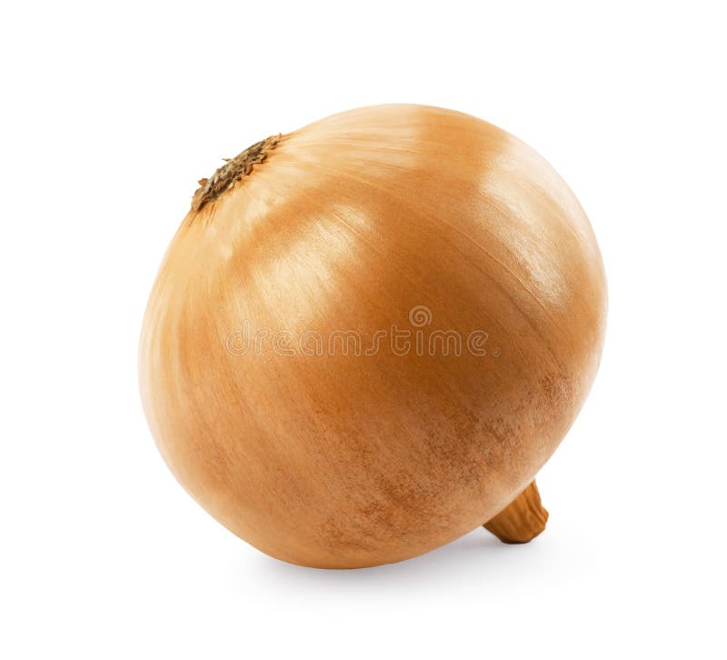 One Yellow Fresh Onion Isolated on White Stock Photo - Image of organic ...