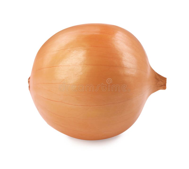 One Yellow Fresh Onion Isolated on White Stock Photo - Image of plant ...