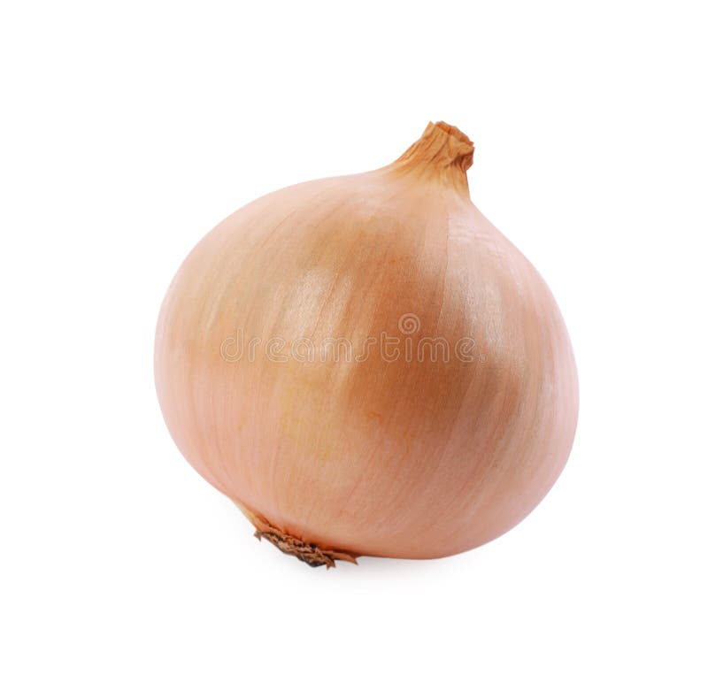 One Yellow Fresh Onion Isolated on White Stock Image - Image of product ...