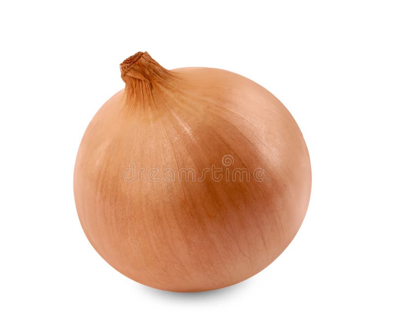 One Yellow Fresh Onion Isolated on White Stock Photo - Image of round ...