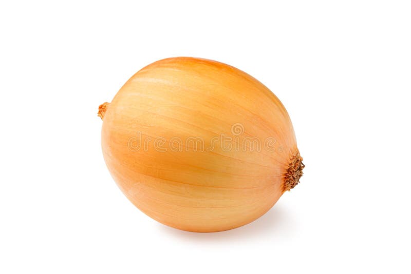 One Yellow Onion Isolated on White Background Stock Photo - Image of ...