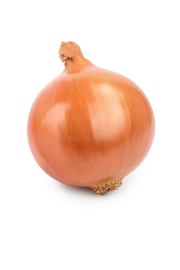 One Yellow Onion Isolated on White Background Close Up Stock Photo ...
