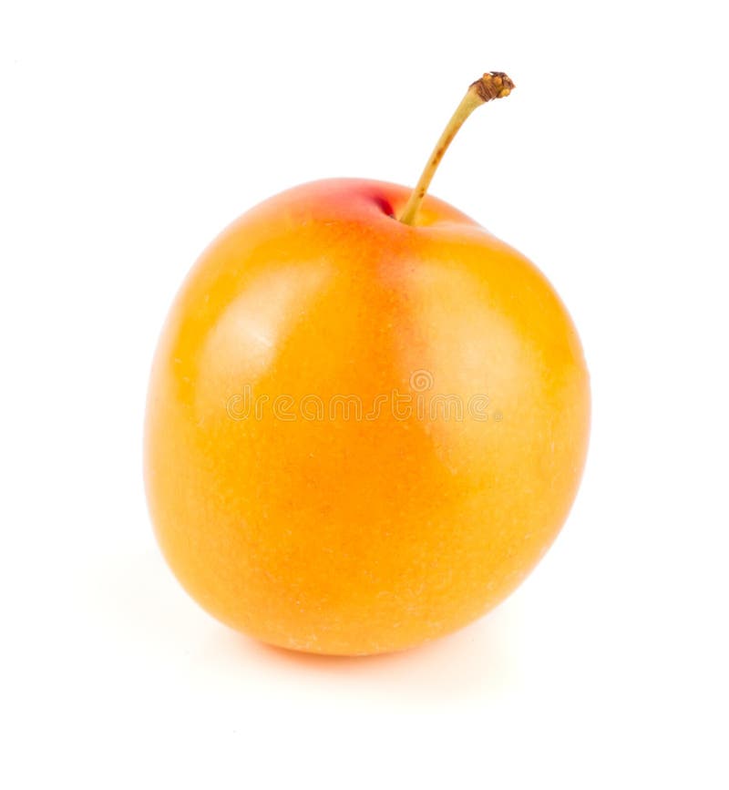 Yellow Plum Half and Slice with Leaves Isolated on White Background ...