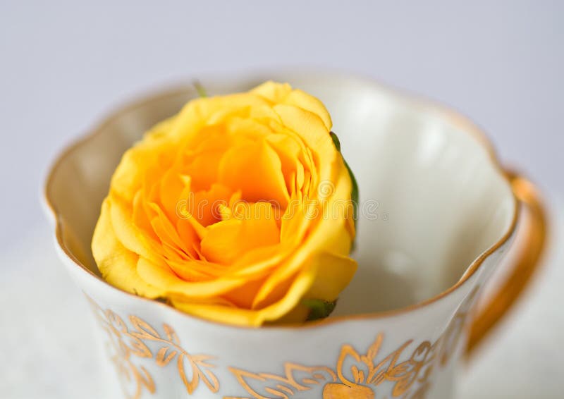 One yellow rose stock photo. Image of keyboard, metallic - 18645300