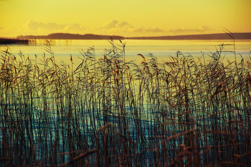 Onego lake stock image. Image of onego, ladoga, island - 56886565