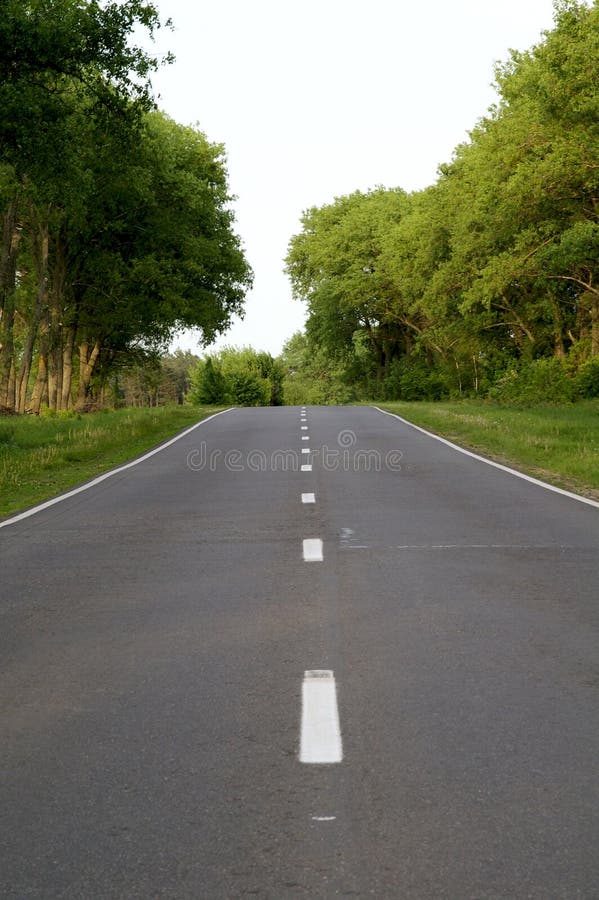 Oneindige weg stock foto. Image of landschap, midden, levering - 5305098