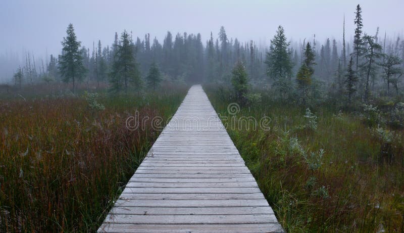 Oneindige weg stock foto. Image of colombia, canada, landschap - 53894836