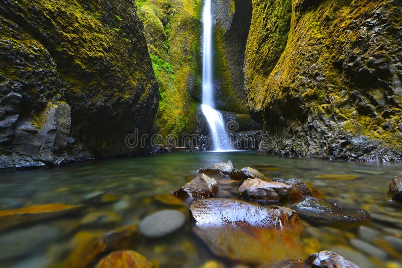 Oneonta Falls in Oregon stock photo. Image of nature - 100192148