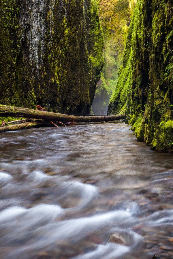 Oneonta Gorge stock image. Image of natural, oneonta - 85977475