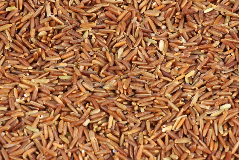 Rode rijst stock foto. Image of korrel, maaltijd, chinees - 104985166