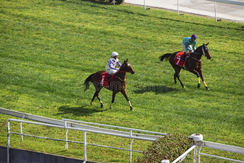 Horse racing editorial image. Image of movement, macau - 30009150