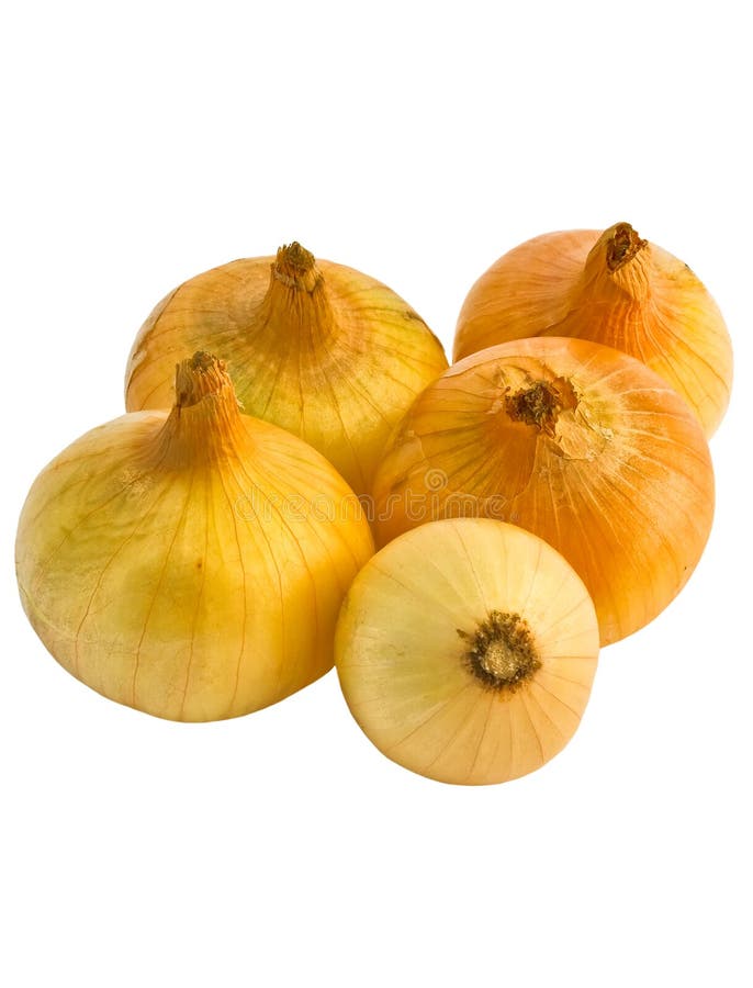 Salmon stock image. Image of head, rainbow, dead, kitchen - 10870813