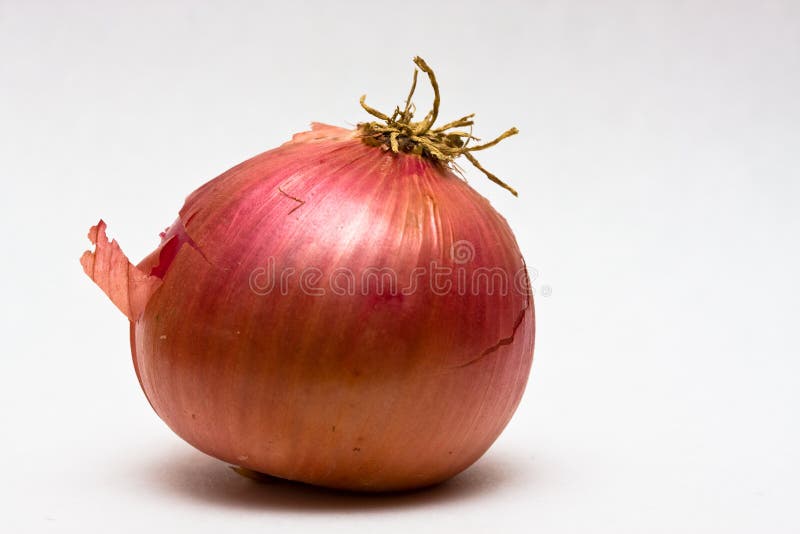 Onion stock photo. Image of nutrition, onion, cook, photograph - 12124098