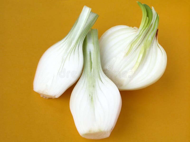 Onion stock image. Image of vegetable, shell, onion, peel - 143653