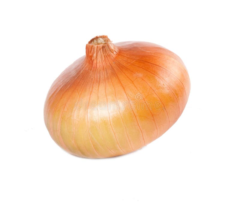 Onion stock photo. Image of ingredient, fresh, onion, vegetable - 58756