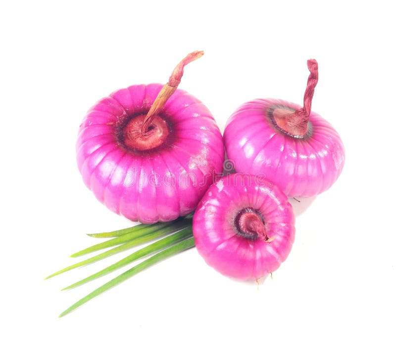 Onion stock image. Image of nutrition, white, shell, onion - 16646889