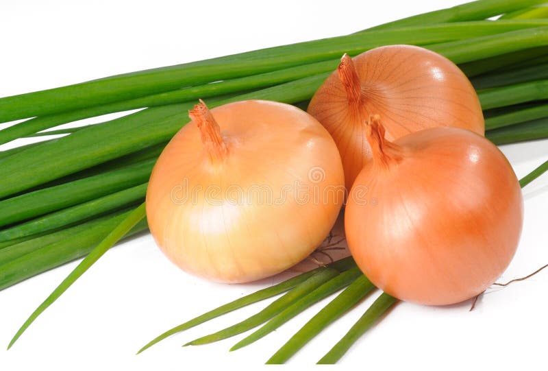 Onion stock image. Image of fresh, isolated, seasoning - 16775485