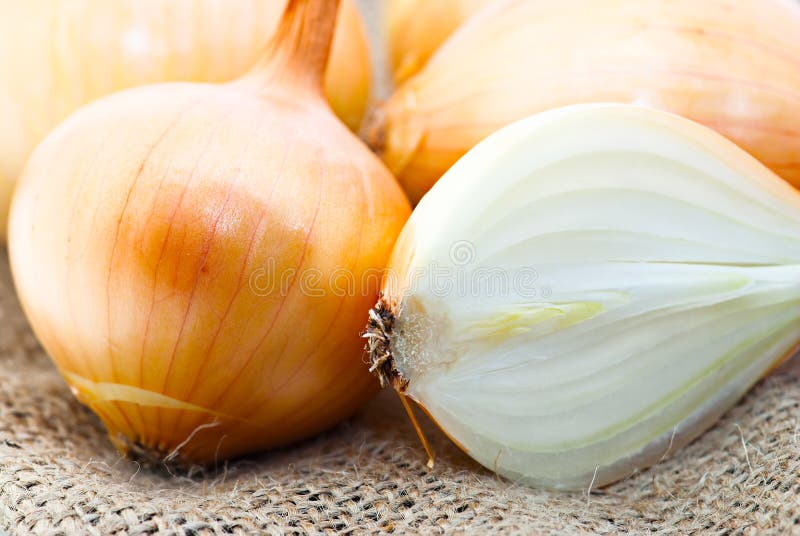 Onion stock photo. Image of flavoring, vegetable, ingredient - 16784442