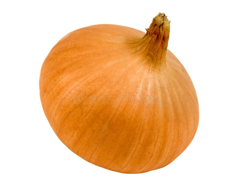 Onion stock photo. Image of objects, tasting, gold, ingredient - 1874446