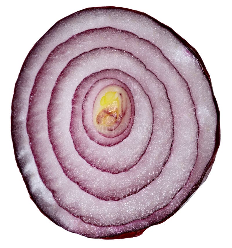 Onion stock photo. Image of flavoring, vegetable, ingredient - 16784442