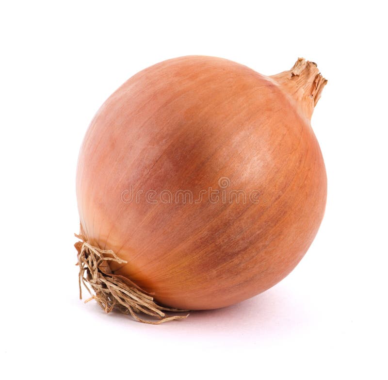 Onion stock photo. Image of ingredient, fresh, onion, vegetable - 58756