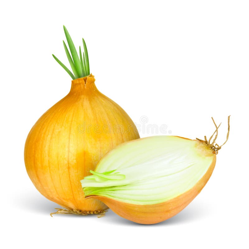 Onion stock image. Image of group, bulb, closeup, organic - 23904993