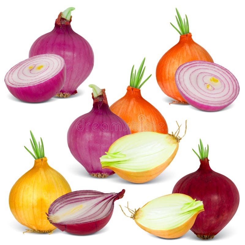 Onion stock image. Image of healthy, background, closeup - 24098549
