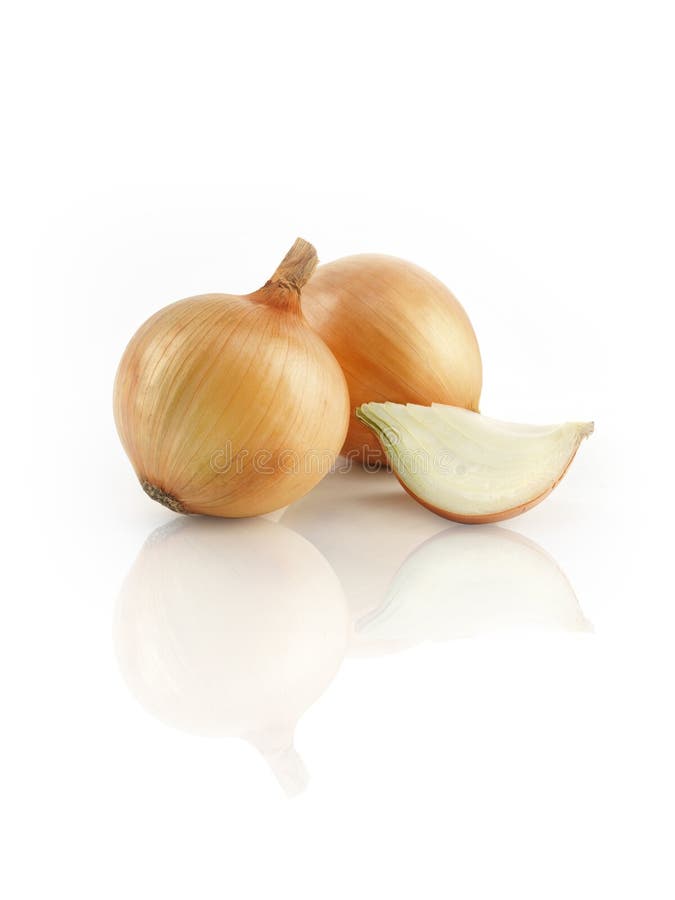 Onion stock photo. Image of onion, adorable, food, gastronomy - 26548388