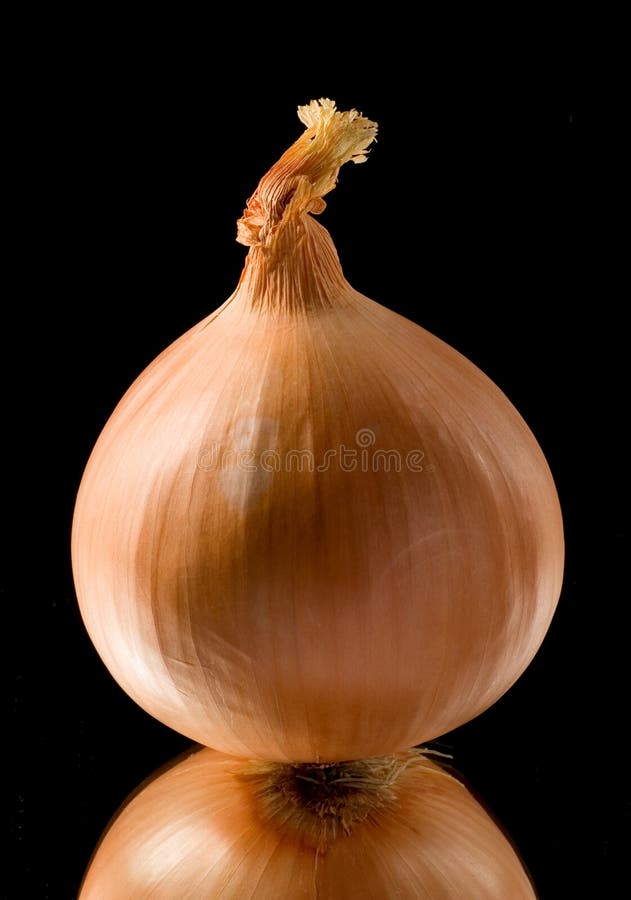 Onion stock image. Image of pure, healthy, natural, market - 2815427