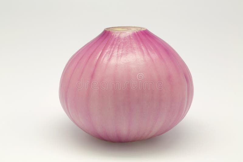 Onion stock image. Image of onion, food, material, plant - 28301755