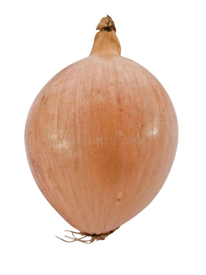Onion stock image. Image of slices, onions, natural, isolated - 4272851