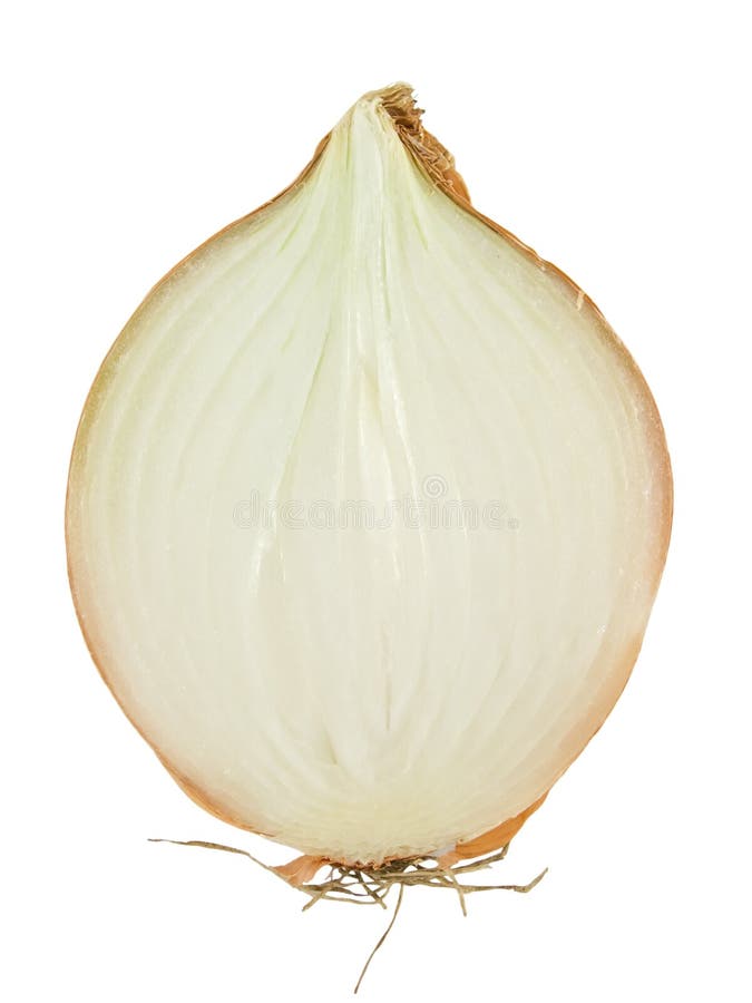 Onion stock image. Image of slices, onions, natural, isolated - 4272851