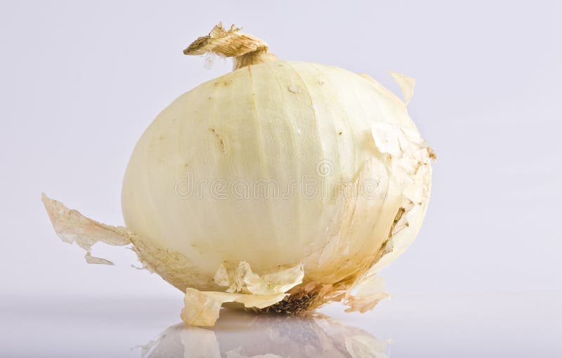 Onion stock image. Image of bulb, shallot, garden, ingredient - 5995195