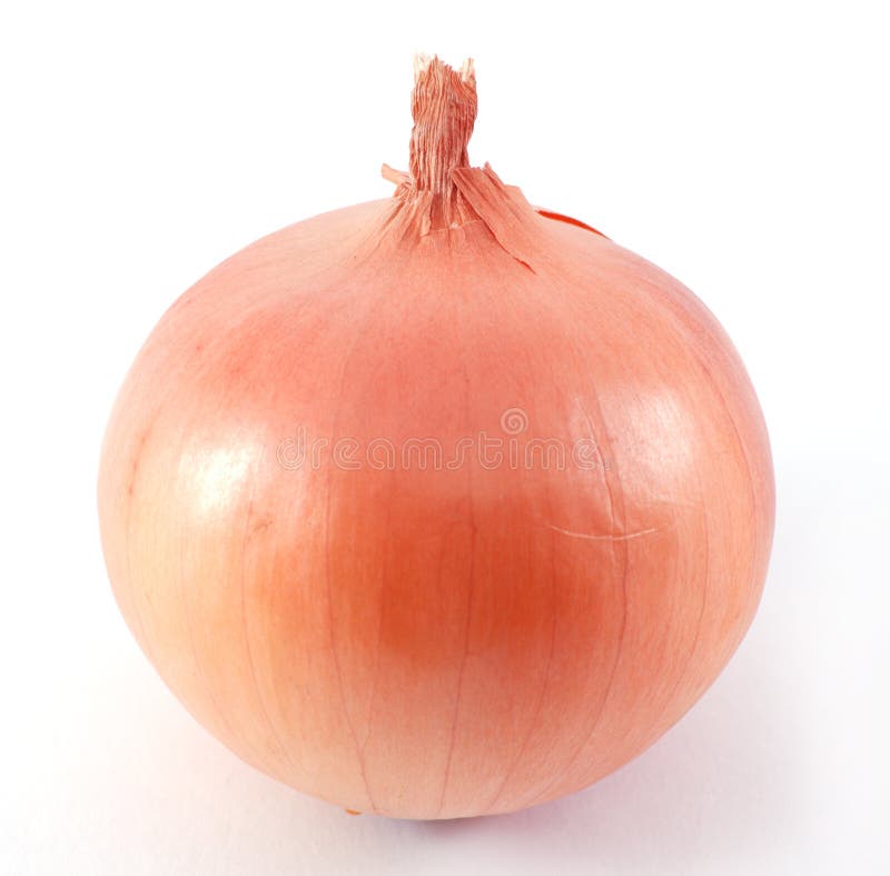 Onion stock photo. Image of ingredient, fresh, onion, vegetable - 58756