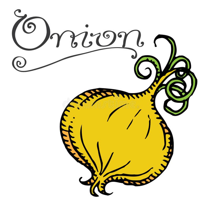 Onion Element Stock Illustrations – 21,531 Onion Element Stock ...