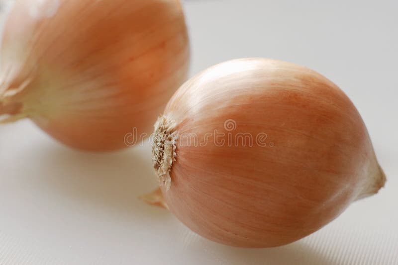 Onion stock image. Image of round, light, lifes, life, natural - 89031