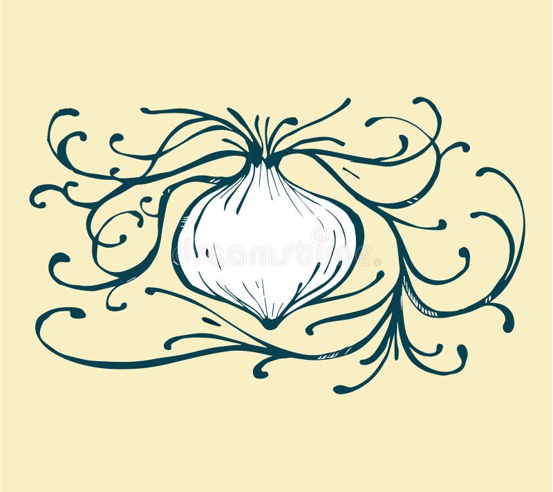 White Onion Stock Illustrations – 101,130 White Onion Stock ...
