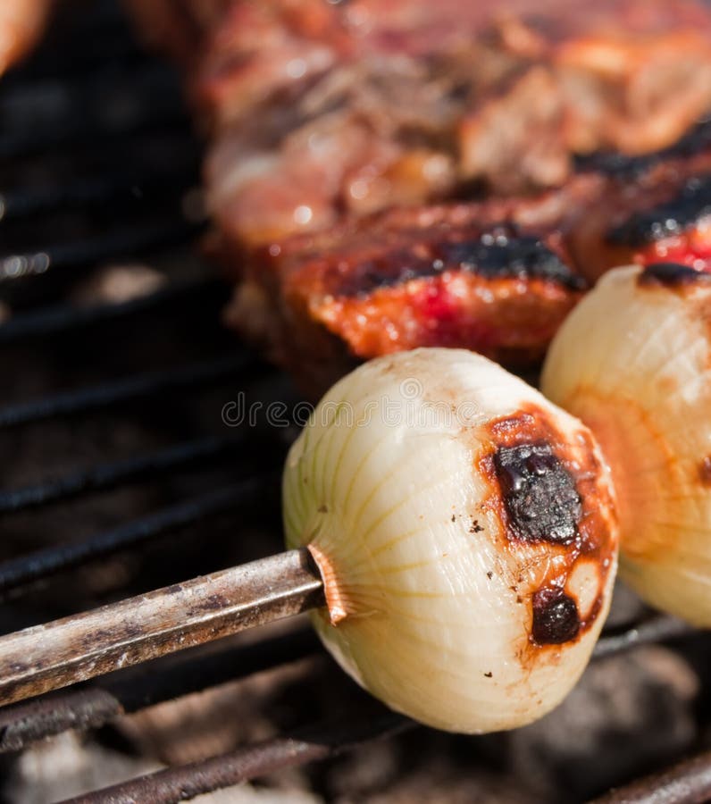 Onion with barbecue stock photo. Image of consistent - 22067648