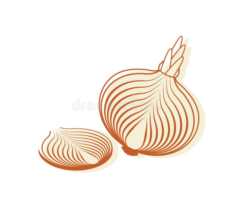 Onion Bulb Sign Icon. Onion Slice Isolated Stock Illustration ...