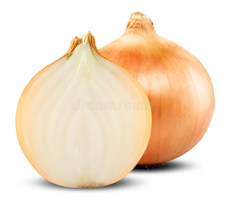 Onion stock photo. Image of ingredient, fresh, onion, vegetable - 58756