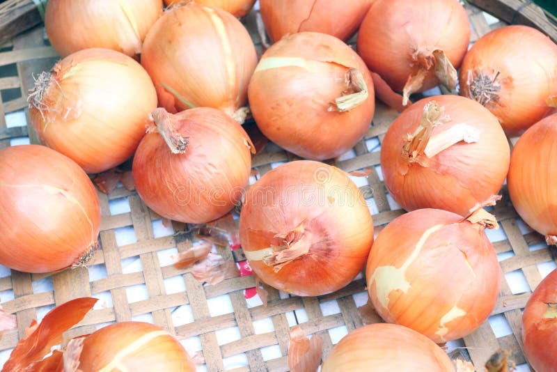 Fresh onion at the market stock image. Image of close - 115636429