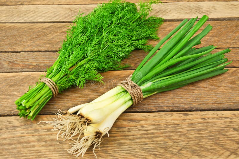 Onion and dill stock photo. Image of vegetable, dill - 41444600