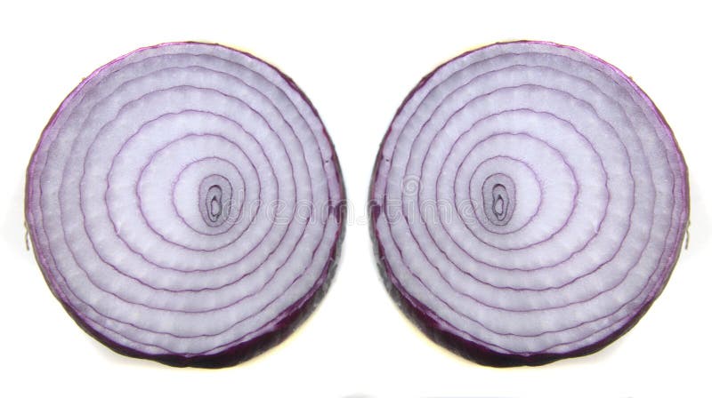 Onion Eyes On Isolated White Picture. Image: 5402891