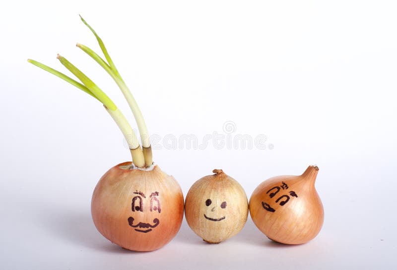 Onion family stock photo. Image of three, colored, dietic - 22524044