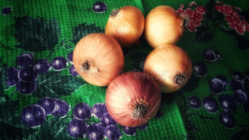 Onion five pieces. stock image. Image of onion, food - 111460271