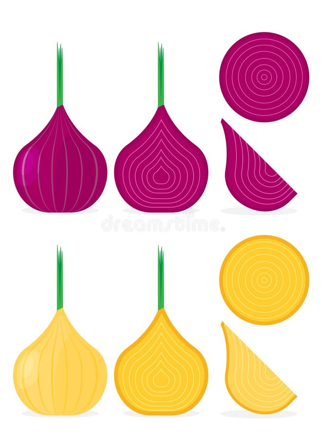 Onion Flat Design Vector Icon Stock Vector - Illustration of logo ...