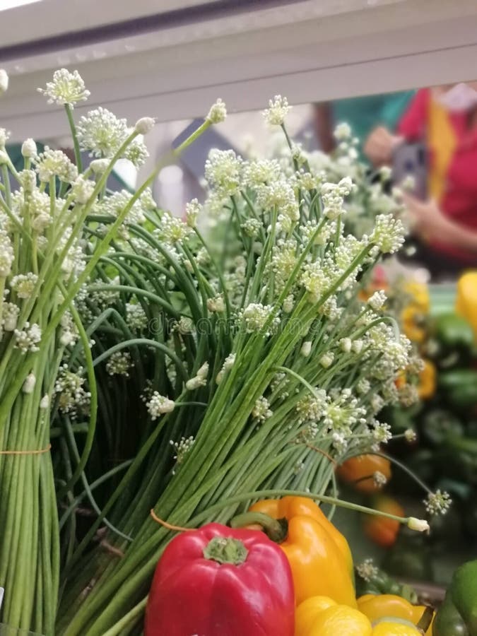 Flowerseating Stock Photos - Free & Royalty-Free Stock Photos from ...