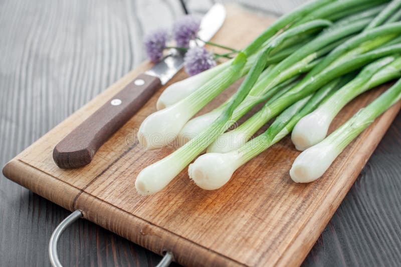 Onion stock photo. Image of fresh, freshness, table, vegetable - 32424924
